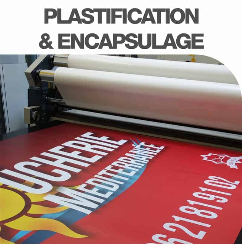 PLASTIFICATION & ENCAPSULAGE - Digitalis Impression